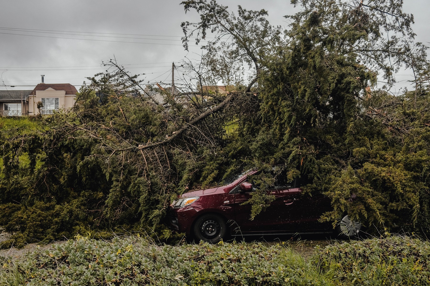 Megrázó képek érkeztek a szélvihar után: leszakadt tetők, tomboló ...