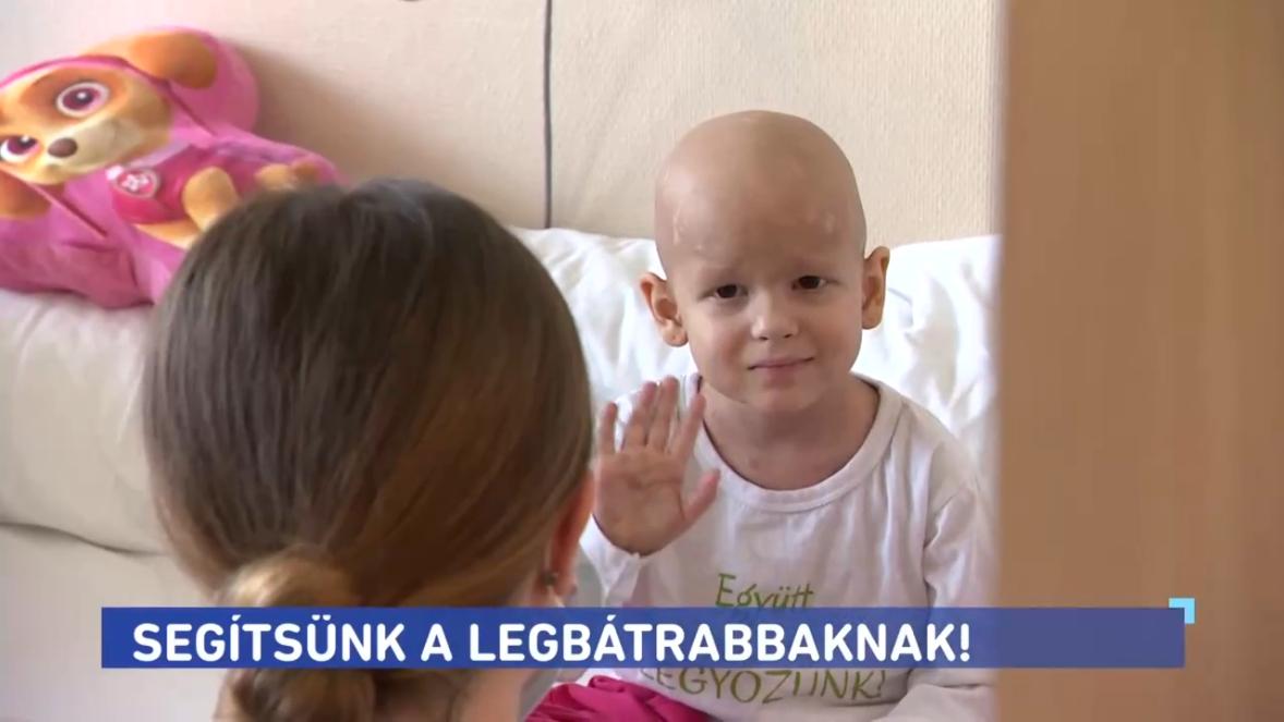 Adománygyűjtést szervez a Fókusz Plusz a Bátor Tábor számára | Promotions.hu